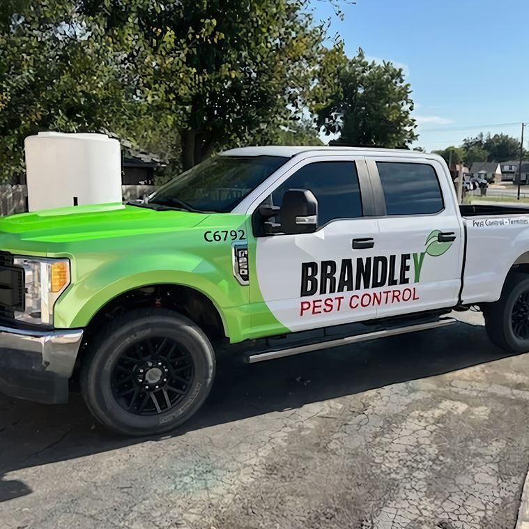 Oklahoma City Pest Control | Brandley Pest Control