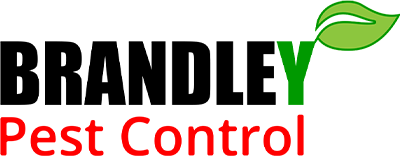 Oklahoma City Pest Control | Brandley Pest Control